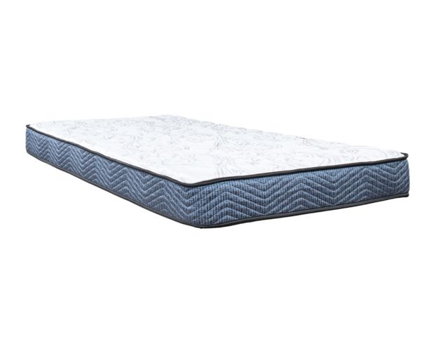 Spring Air Aviator Foam Twin Mattress | Homemakers