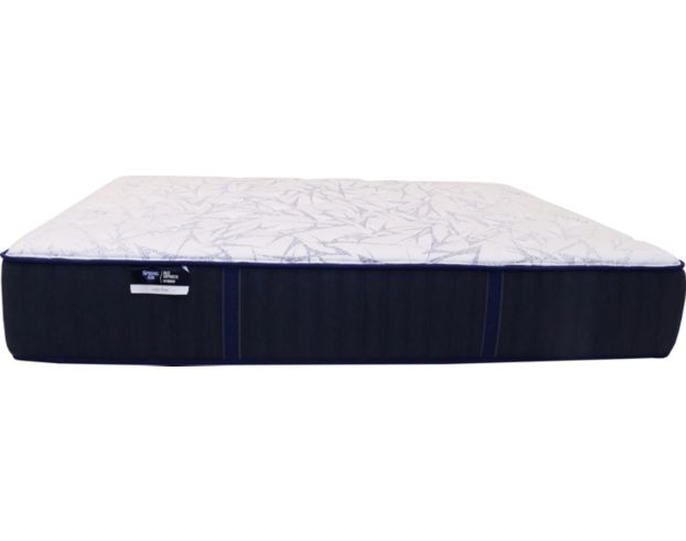 Spring Air Caper Peak Plush Queen Mattress | Homemakers
