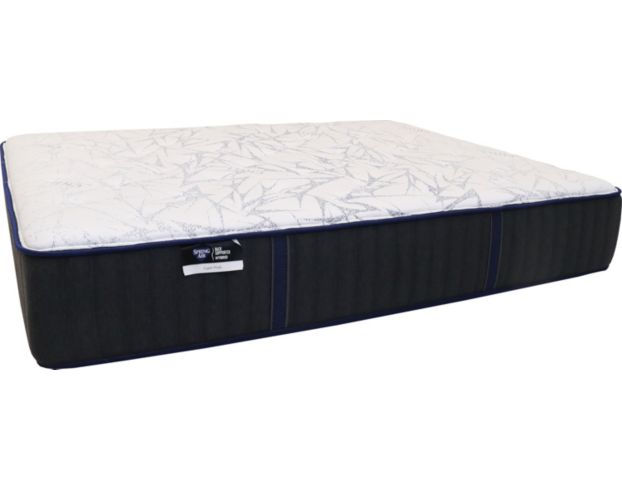 Spring Air Caper Peak Plush Queen Mattress | Homemakers