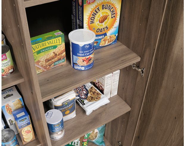 Sauder HomePlus Salt Oak Storage Cabinet | Homemakers