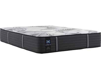 Sealy Victorious Plush Full Mattress Homemakers